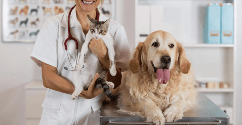 Vet Near Me Boca Raton, FL 334966 | Healthy Pets Veterinary Care